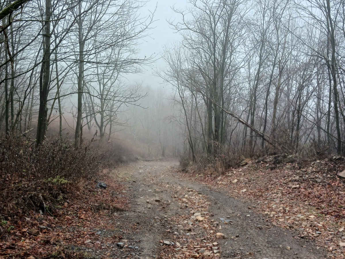 Between Rock - Rock Run Recreation Area | Off-Road Trail Maps ...