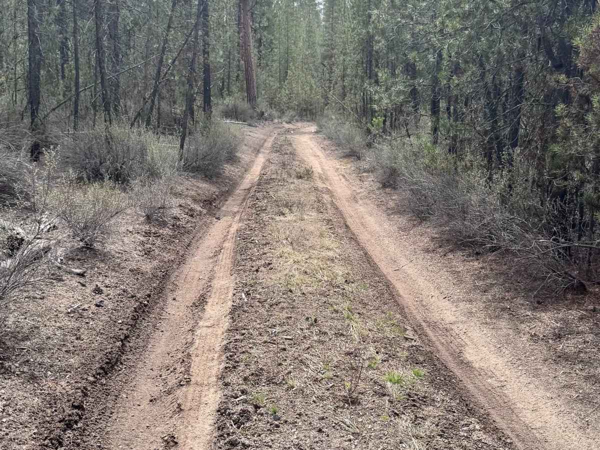 Wocus Bay Road | Off-Road Trail Maps, Difficulty, Trail Status | onX ...