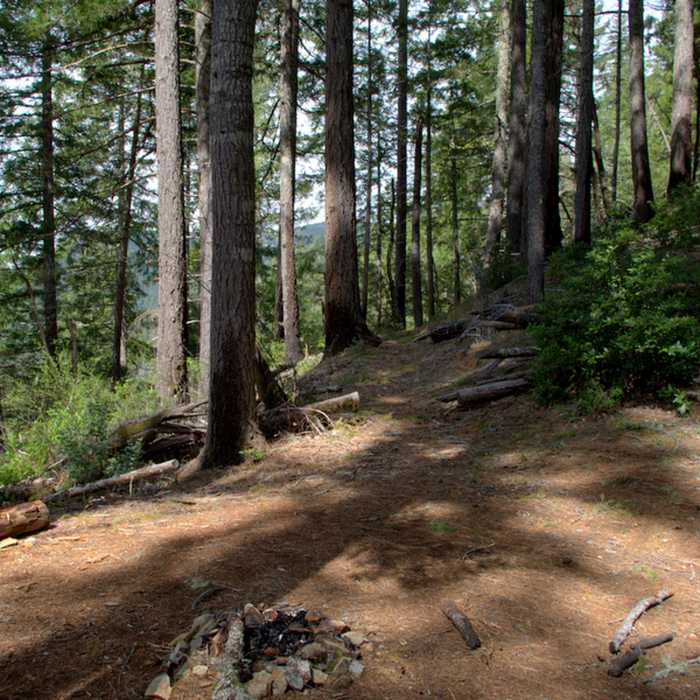 Pine Flat Trail #1219 | Hiking Trail Maps, Difficulty, Trail Status | onX
