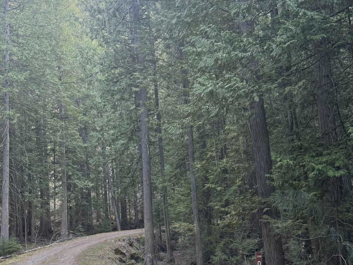McKinley Mountain - FS 1500-045 | Off-Road Trail Maps, Difficulty ...