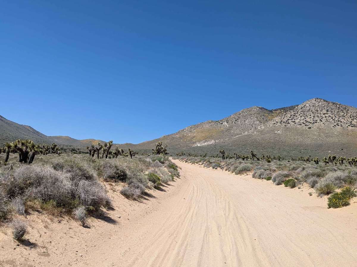 Bird Spring Canyon Road East BLM 120 | Off-Road Trail Maps, Difficulty ...