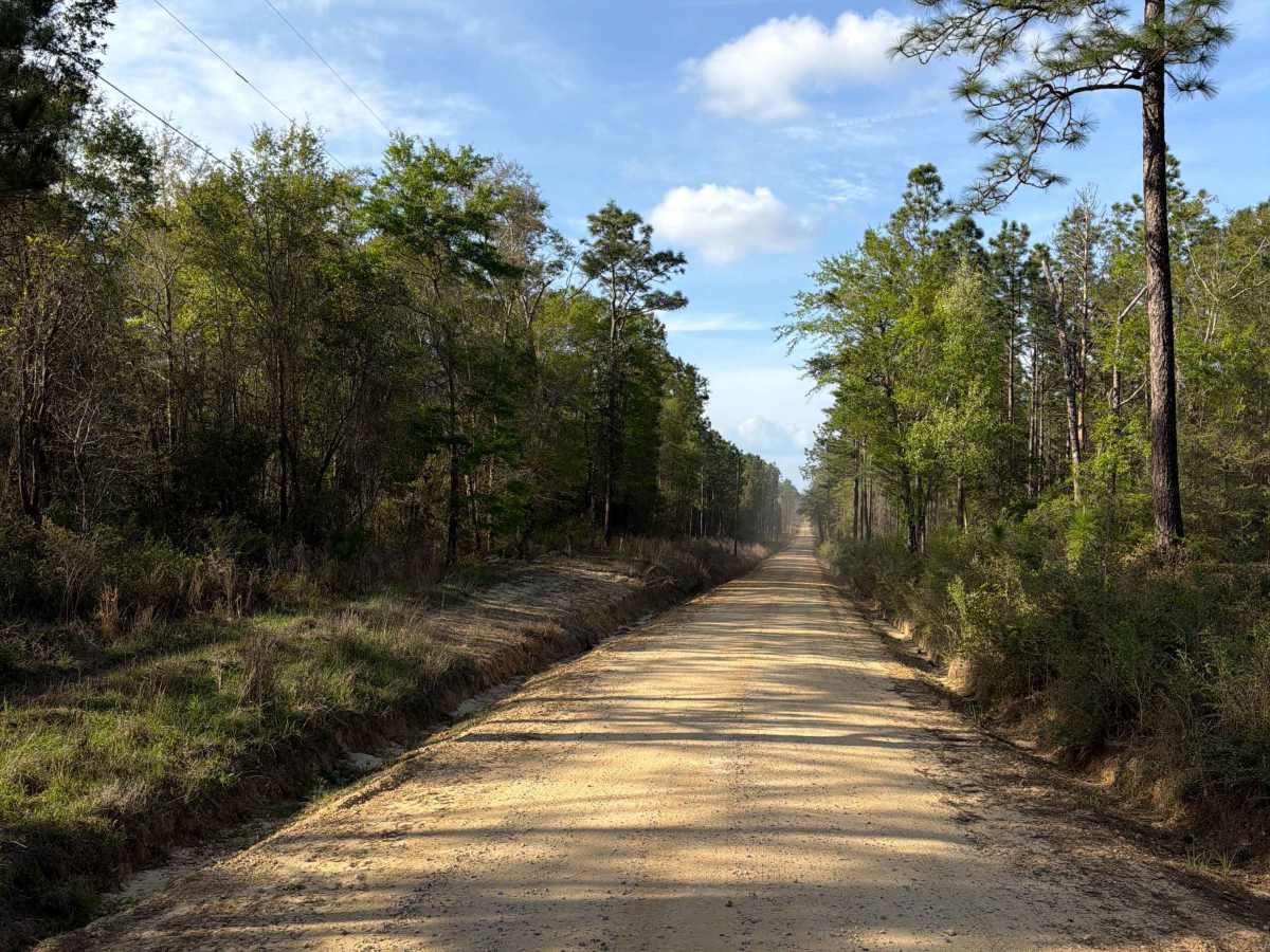 Three Notch Trail | Off-Road Trail Maps, Difficulty, Trail Status | onX ...