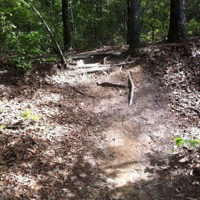 Thomson Red Trail | Hiking Trail Maps, Difficulty, Trail Status | onX