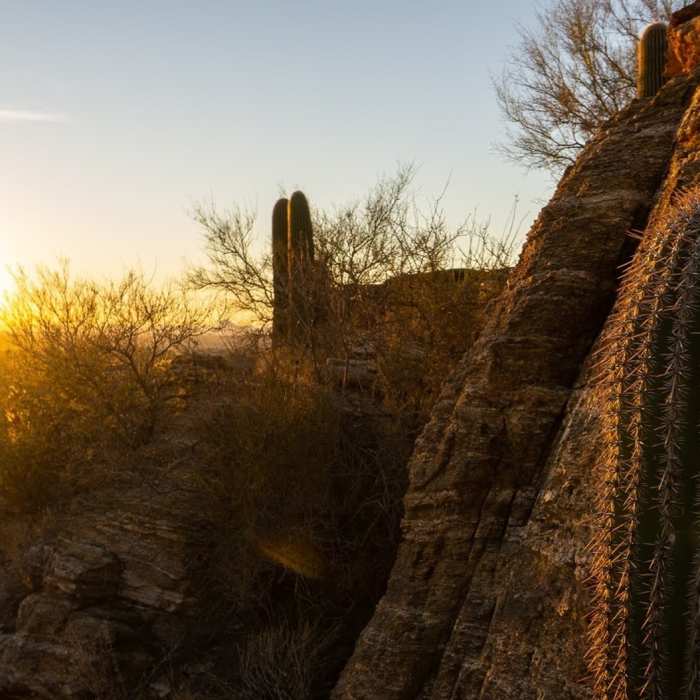 Tanque Verde Ridge Trail | Hiking Trail Maps, Difficulty, Trail Status ...