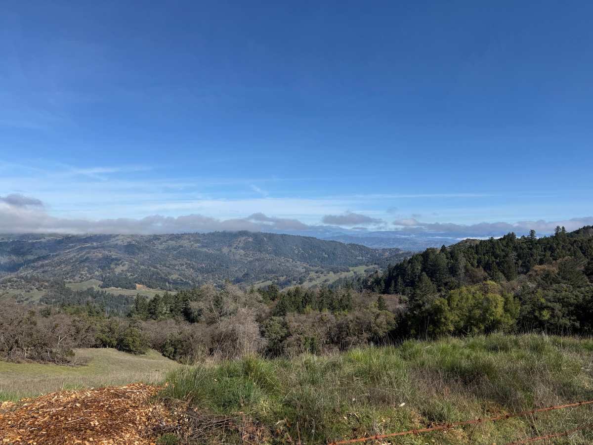Low Gap Road | Off-Road Trail Maps, Difficulty, Trail Status | onX Offroad
