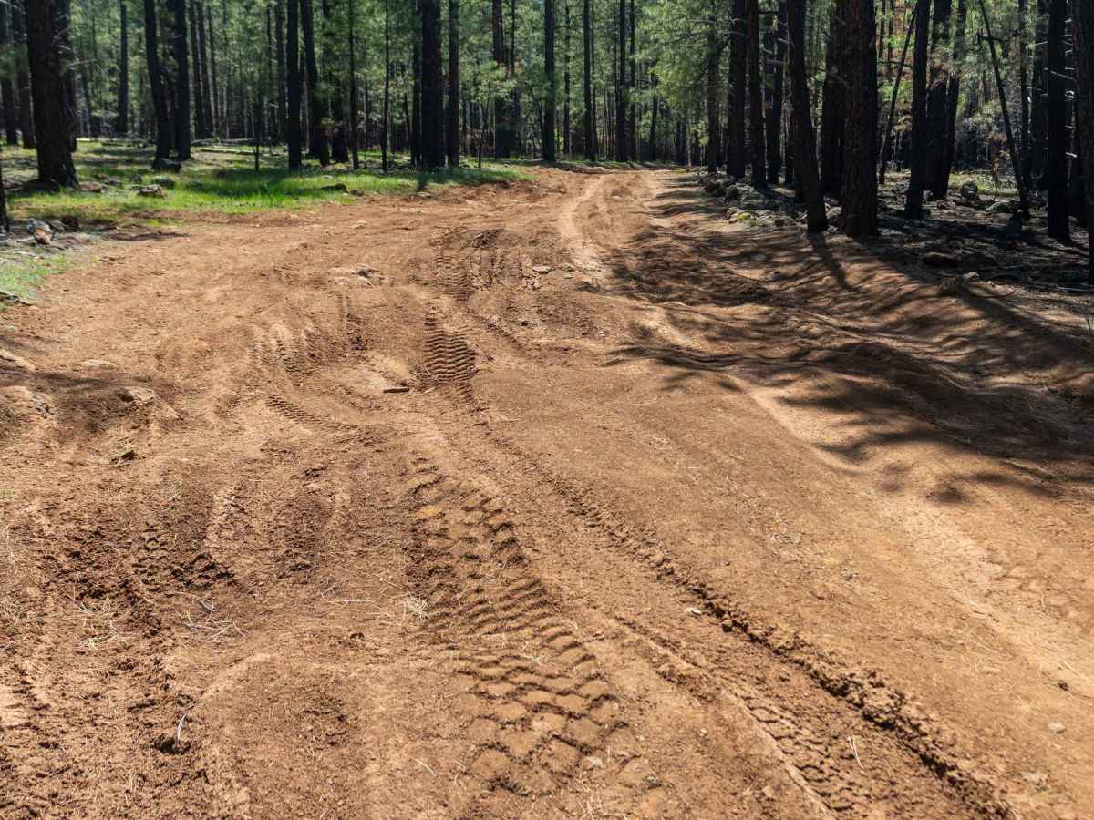 Norris Tank - FS 538J | Off-Road Trail Maps, Difficulty, Trail Status ...
