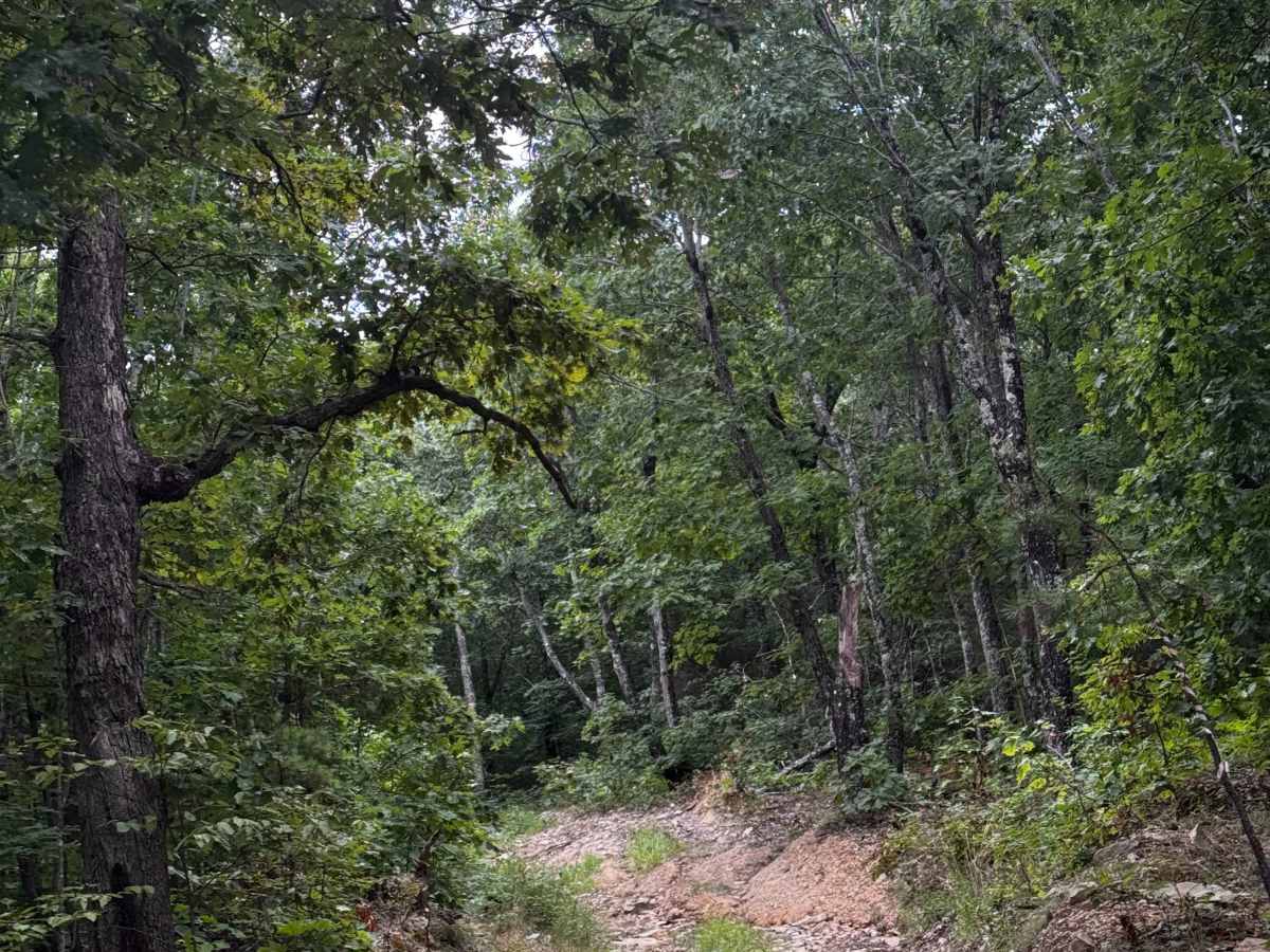 Pruitt Run Byway | Off-Road Trail Maps, Difficulty, Trail Status | onX ...