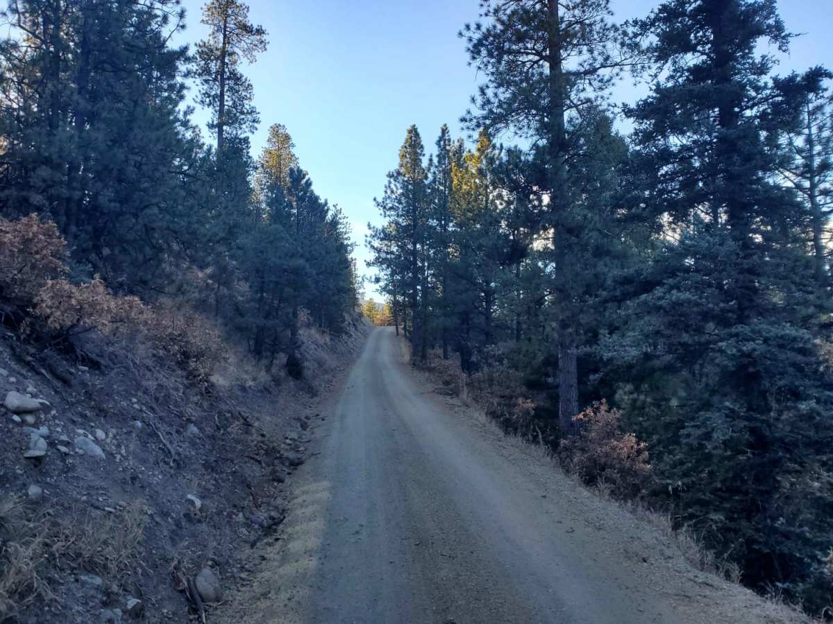 Osha Pass/70b | Off-Road Trail Maps, Difficulty, Trail Status | onX Offroad