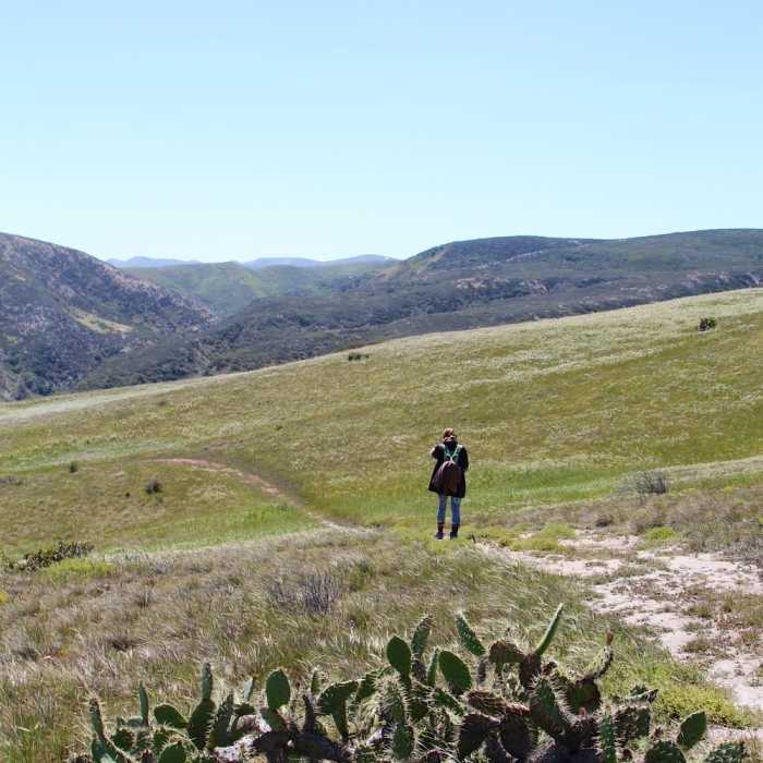 Cherry Canyon Trail | Hiking Trail Maps, Difficulty, Trail Status | onX