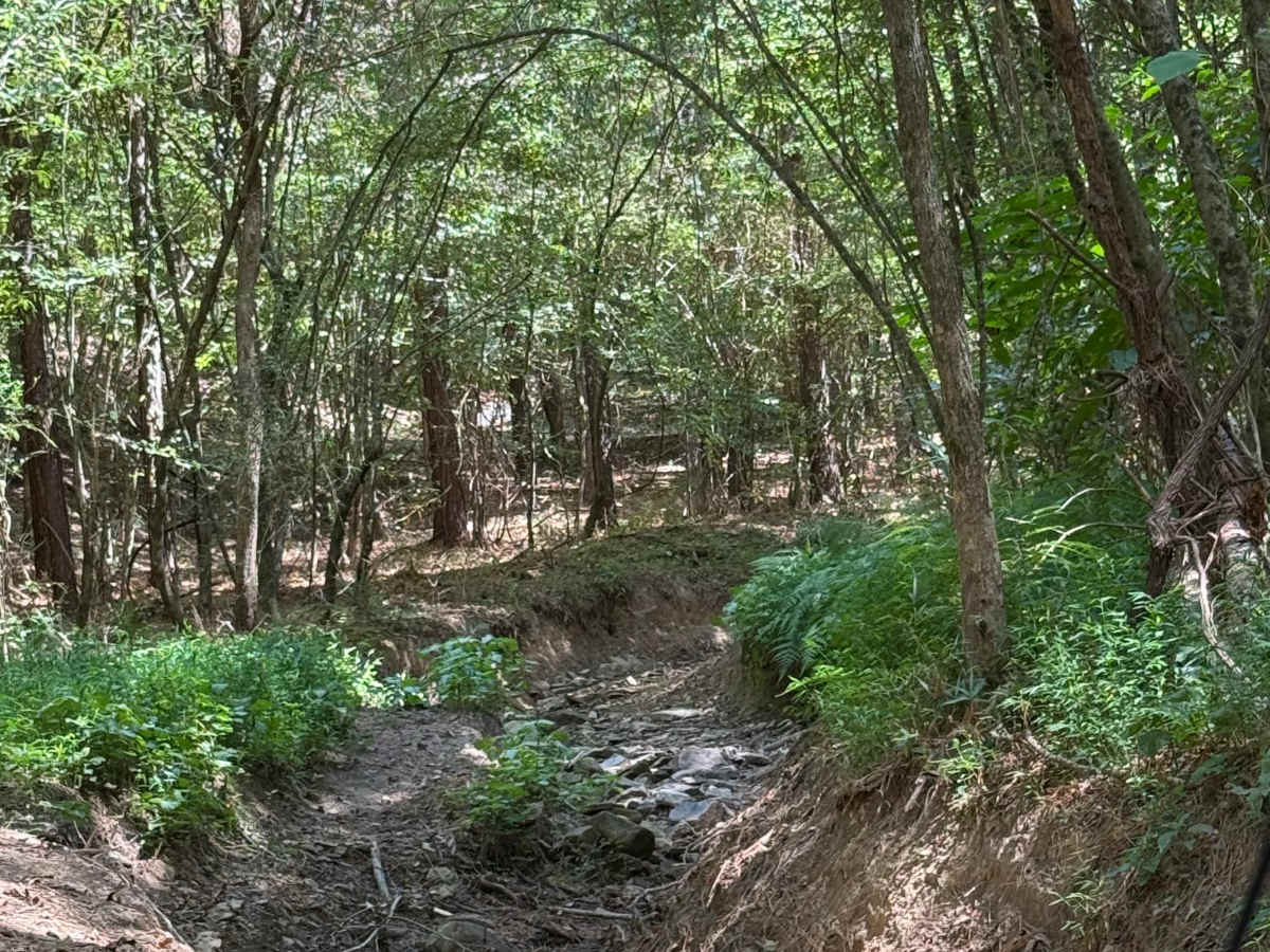 Crooked Creek | Off-Road Trail Maps, Difficulty, Trail Status | onX Offroad