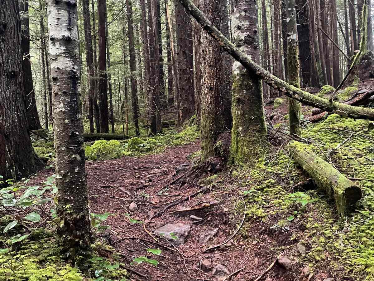 Sleepy Hallow Alternative | Off-Road Trail Maps, Difficulty, Trail ...