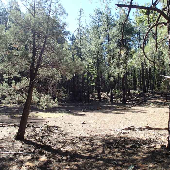 Kelsey Spring Trail | Hiking Trail Maps, Difficulty, Trail Status | onX