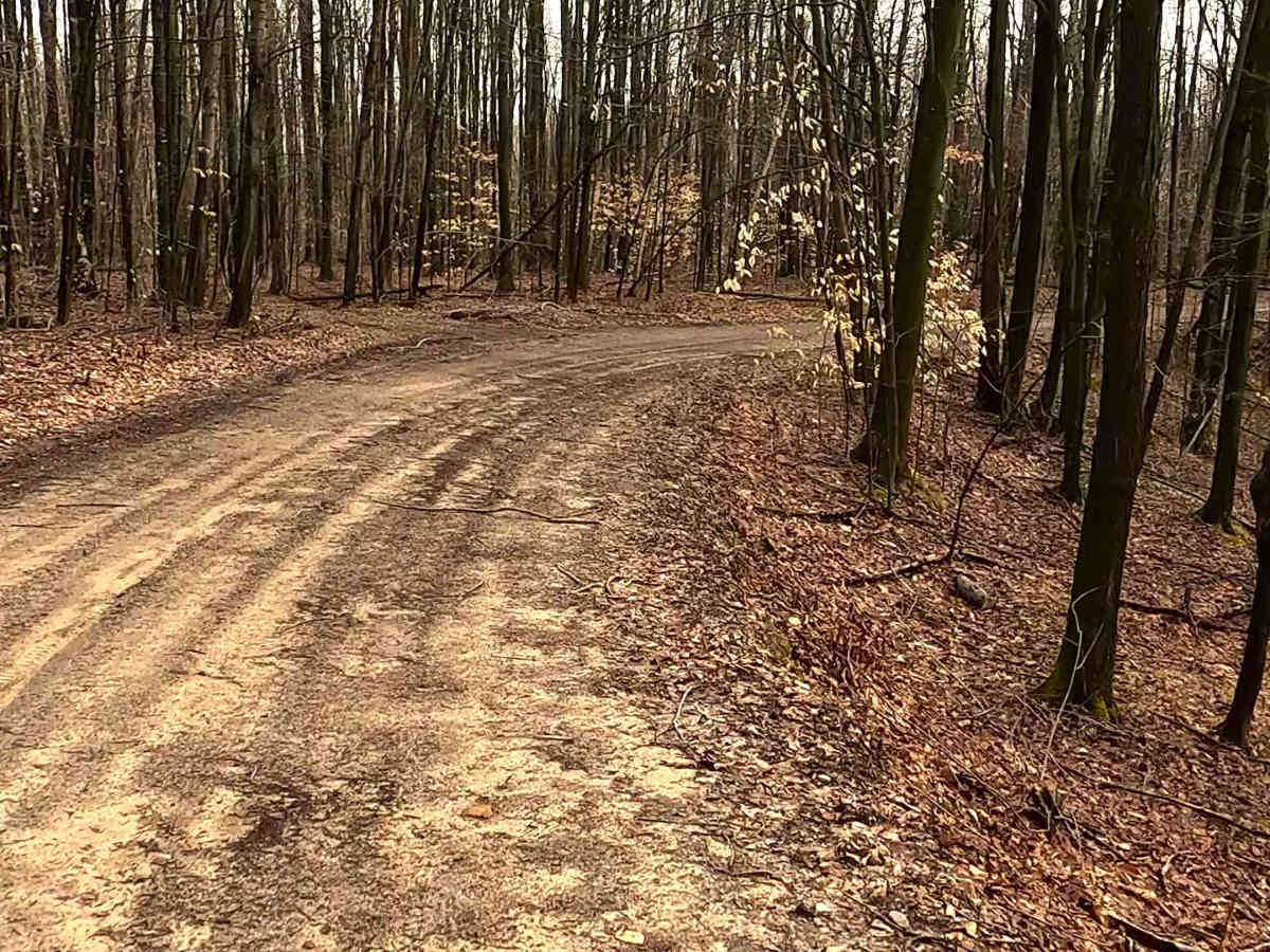 Deckerville/ Warbler - FS 4147 | Off-Road Trail Maps, Difficulty, Trail ...
