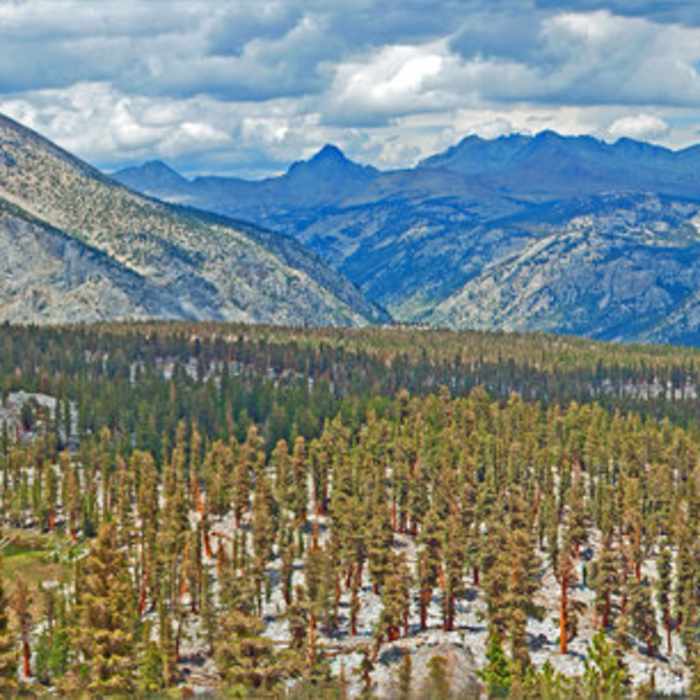 Red Spur Lakes Plateau Unmaintained Route | Hiking Trail Maps ...