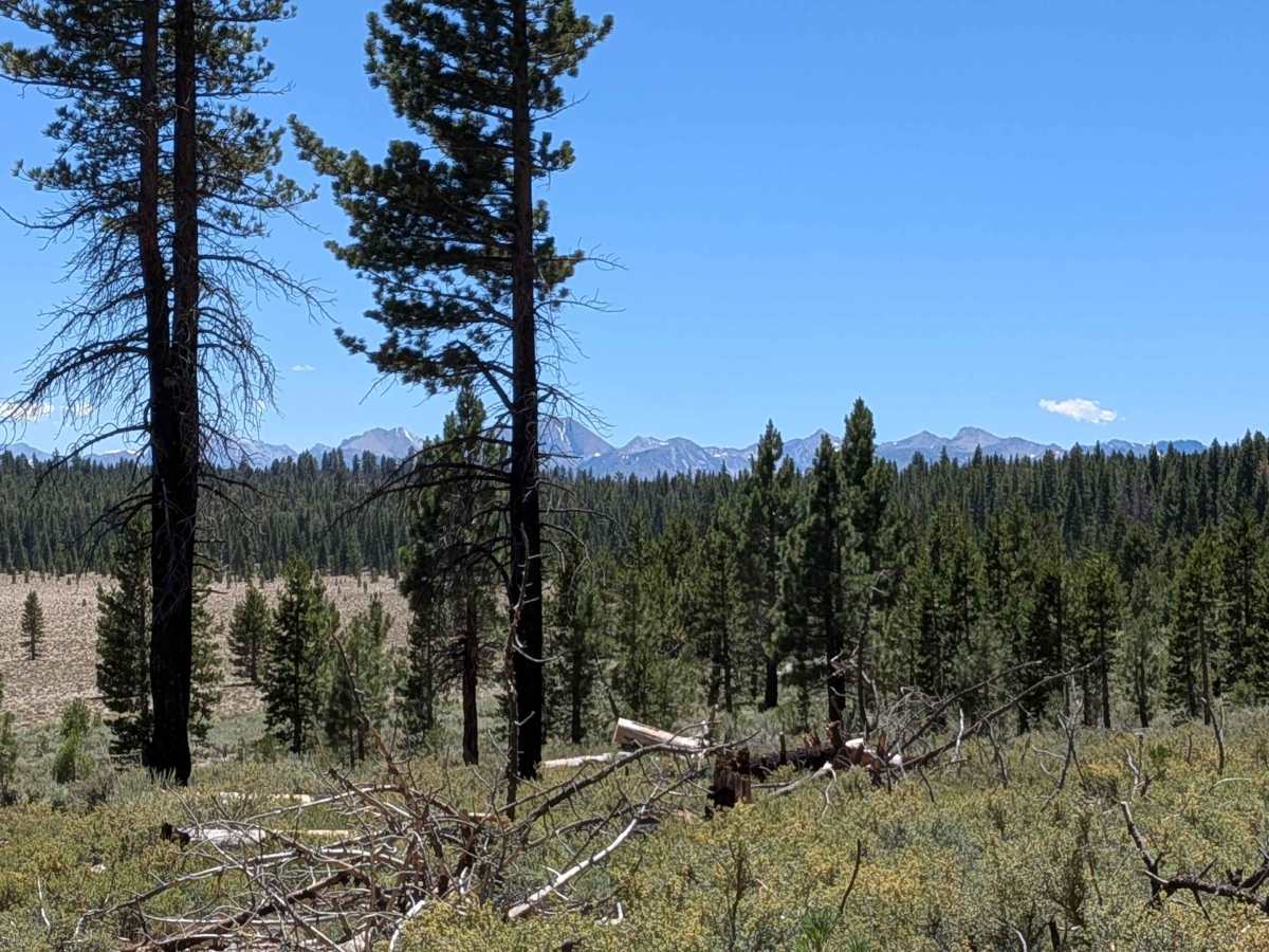 Forest Service Road 2S123 | Off-Road Trail Maps, Difficulty, Trail ...