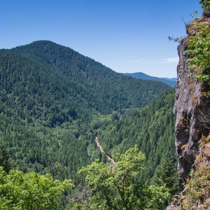 Elk Mountain to Elk Creek Loop Hiking Trail | Map, Difficulty, Trail ...