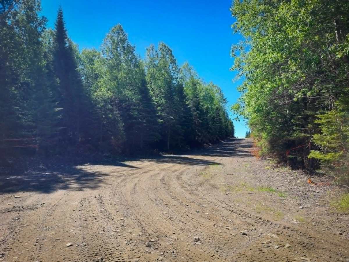 Big Bald Mountain | Off-Road Trail Maps, Difficulty, Trail Status | onX ...