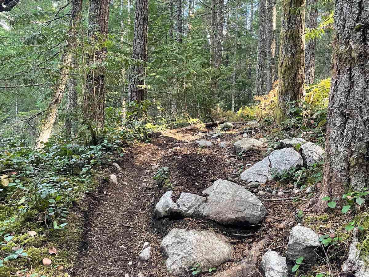 Little Boy Blue | Off-Road Trail Maps, Difficulty, Trail Status | onX ...