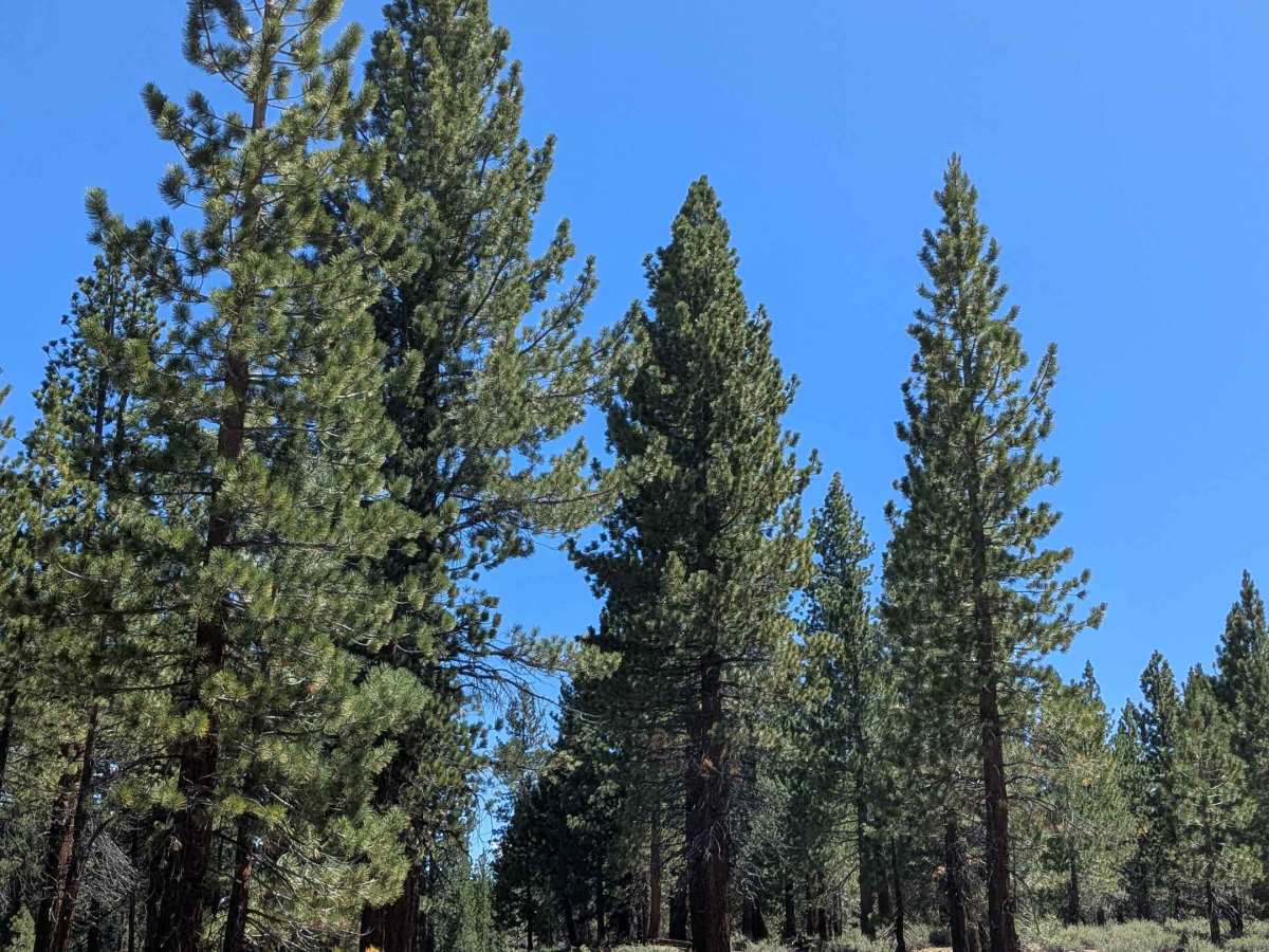 Alpers Canyon Upper FS2S42 | Off-Road Trail Maps, Difficulty, Trail ...