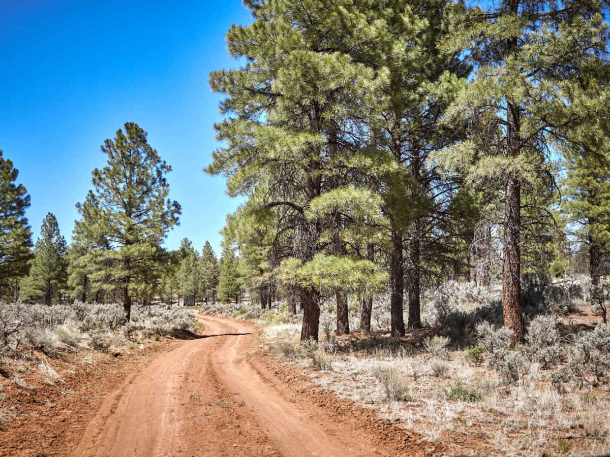2607 Road | Off-Road Trail Maps, Difficulty, Trail Status | onX Offroad