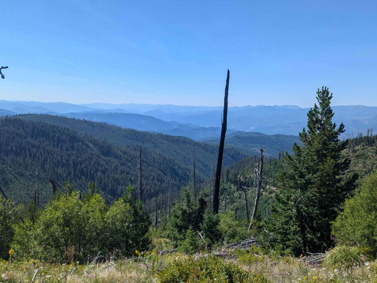 Ninemile Divide Trail | Off-Road Trail Maps, Difficulty, Trail Status ...