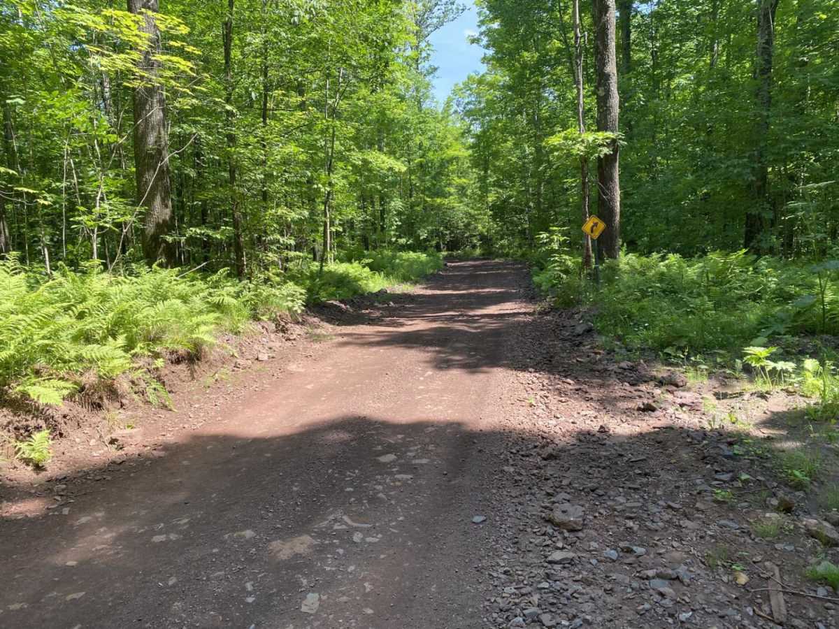 Lake Emily to Spread Eagle | Off-Road Trail Maps, Difficulty, Trail ...