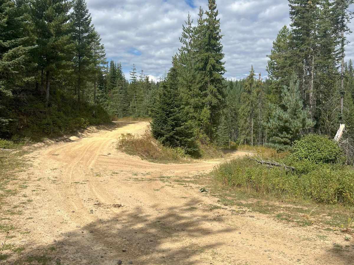 Moose Creek Lower Road Track | Off-Road Trail Maps, Difficulty, Trail ...