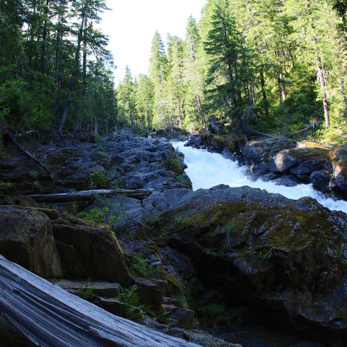 Cowlitz Divide Trail | Hiking Trail Maps, Difficulty, Trail Status | onX