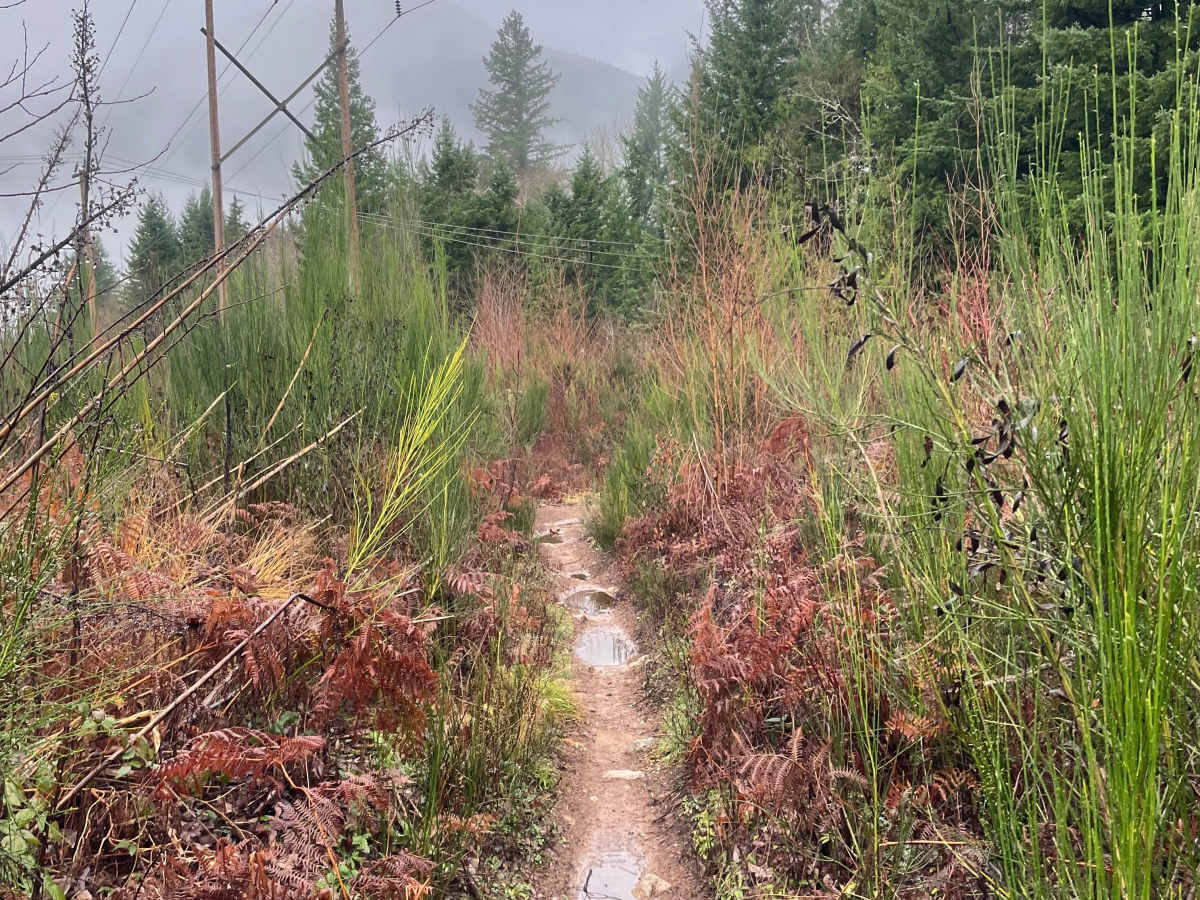Power Station | Off-Road Trail Maps, Difficulty, Trail Status | onX Offroad