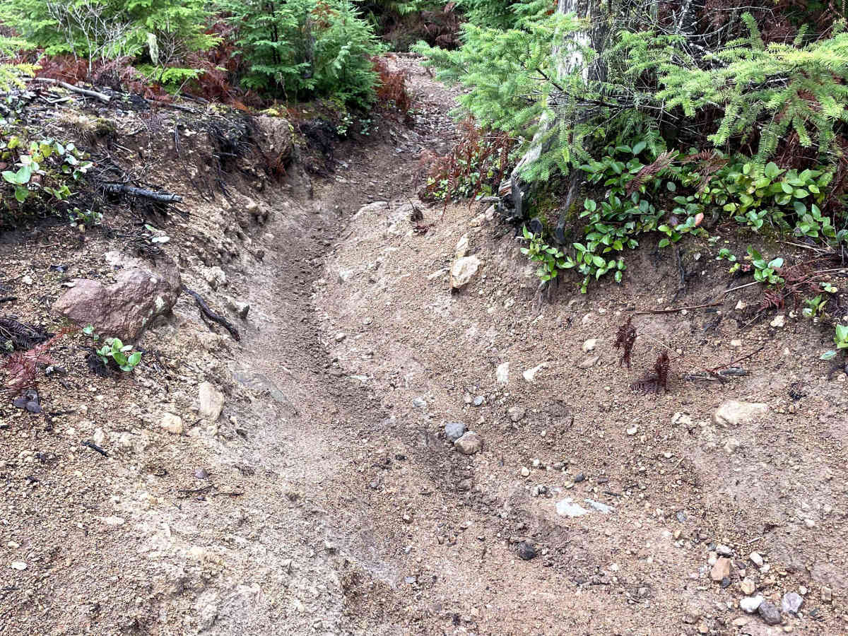 DH - Bypass Connector | Off-Road Trail Maps, Difficulty, Trail Status ...