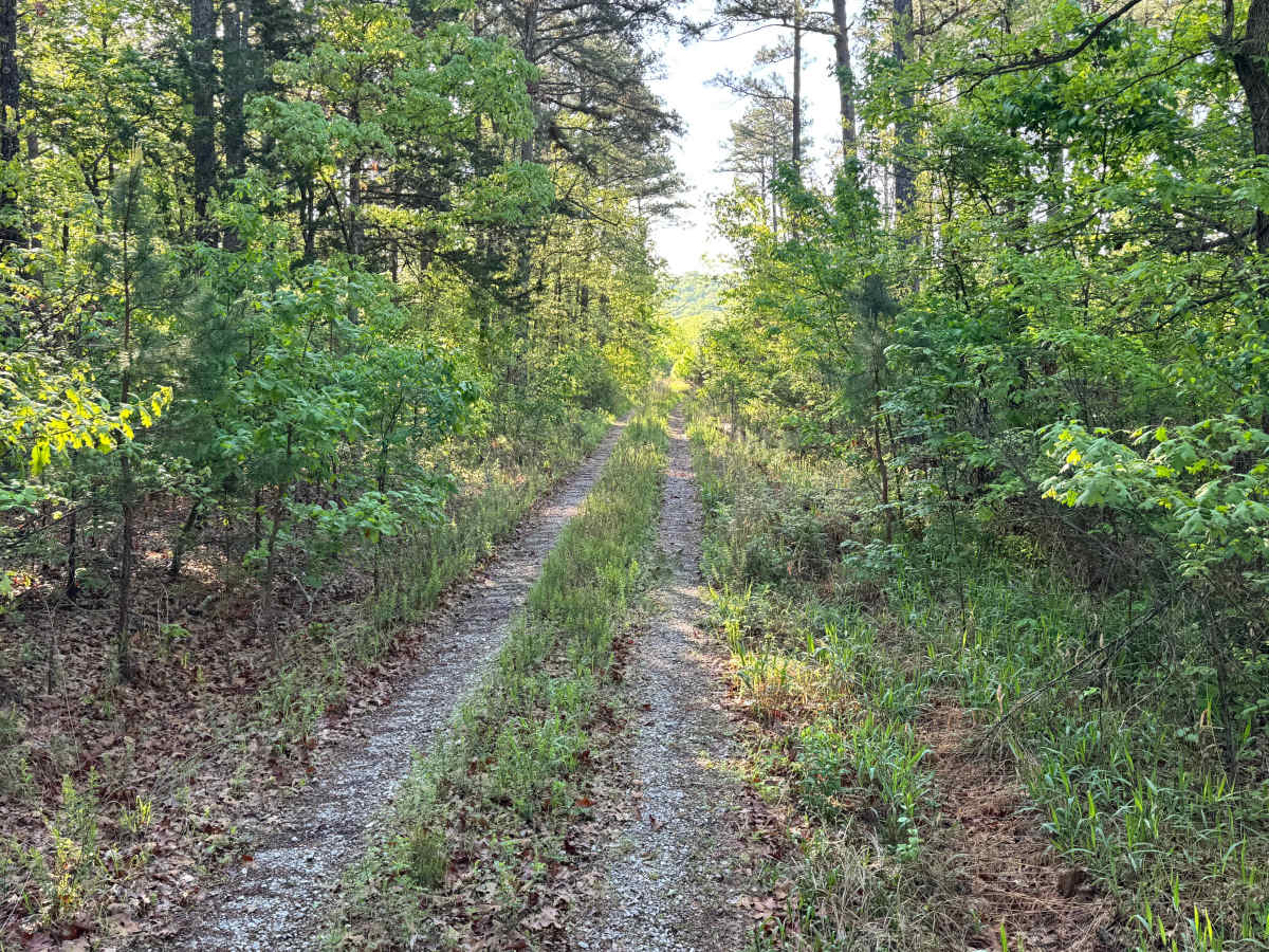 Teasley Hollow - FS 1742 | Off-Road Trail Maps, Difficulty, Trail ...