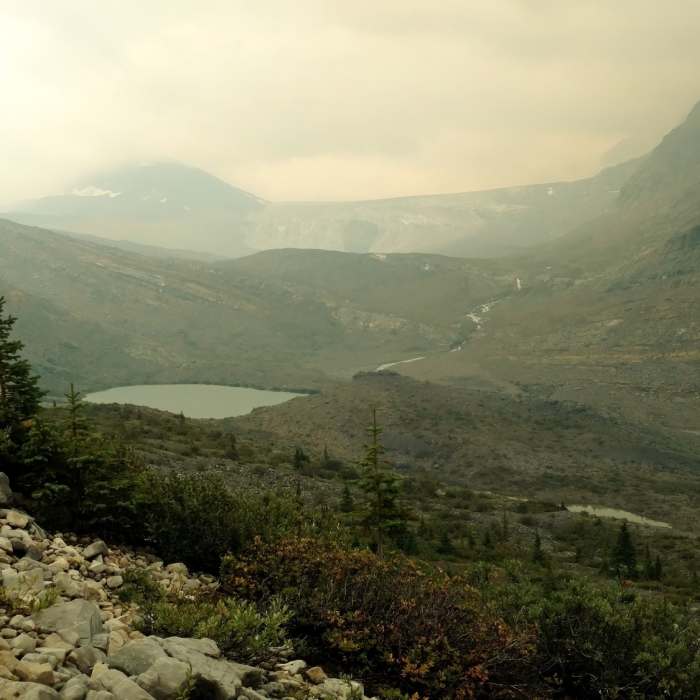 Coleman Glacier Trail | Hiking Trail Maps, Difficulty, Trail Status | onX