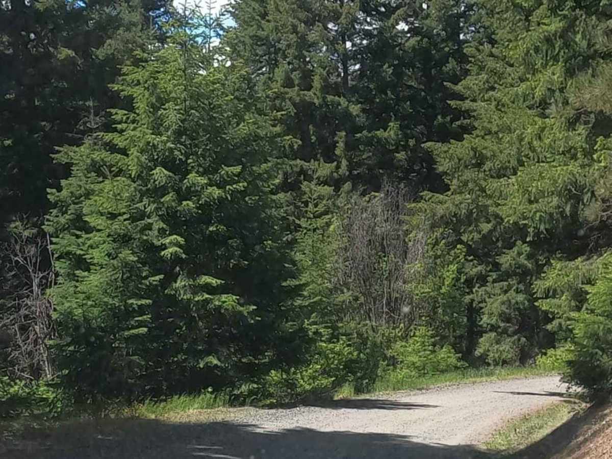 Miners Point - NF3300-133 | Off-Road Trail Maps, Difficulty, Trail ...