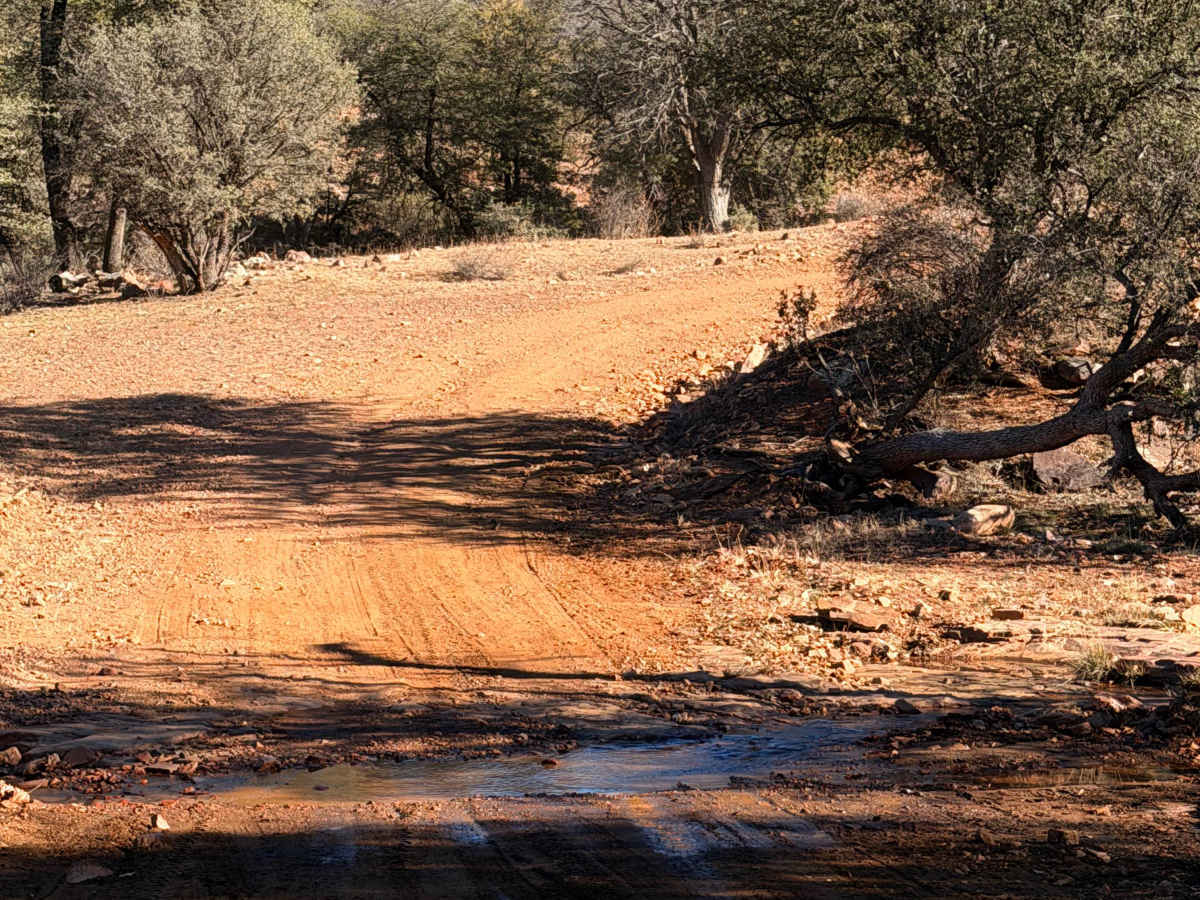 Buzzard Roost - FS 486 | Off-Road Trail Maps, Difficulty, Trail Status ...