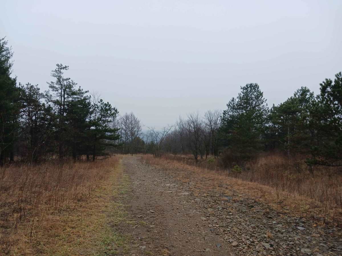 The Strip - Rock Run Recreation Area | Off-Road Trail Maps, Difficulty ...