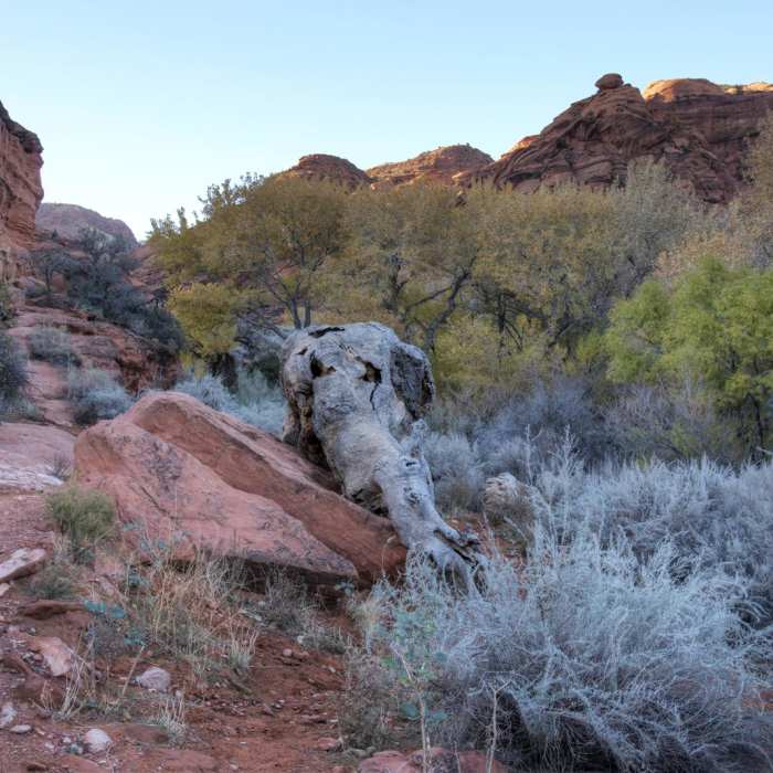 Red Cliffs Nature Trail Hiking Trail | Map, Difficulty, Trail Status | onX