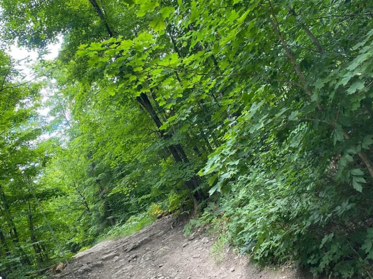 Nevenens Road Loop | Off-Road Trail Maps, Difficulty, Trail Status ...