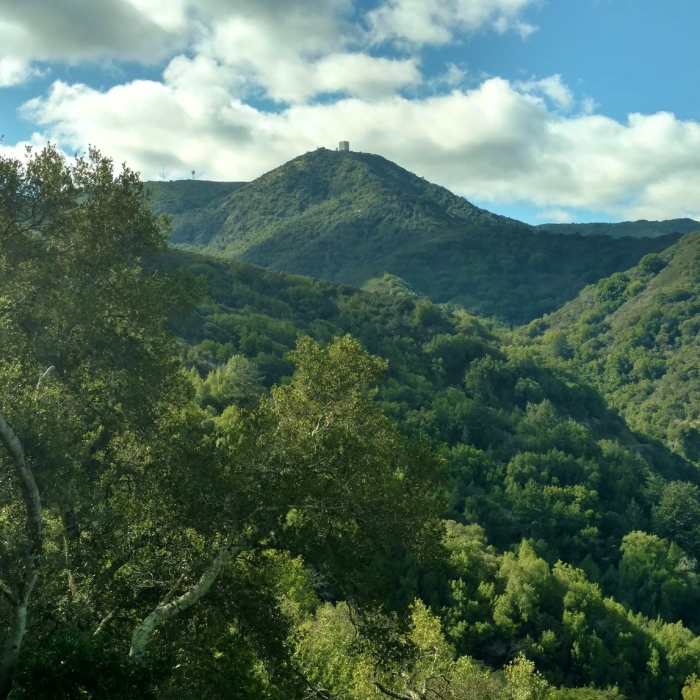 Woods Trail | Hiking Trail Maps, Difficulty, Trail Status | onX