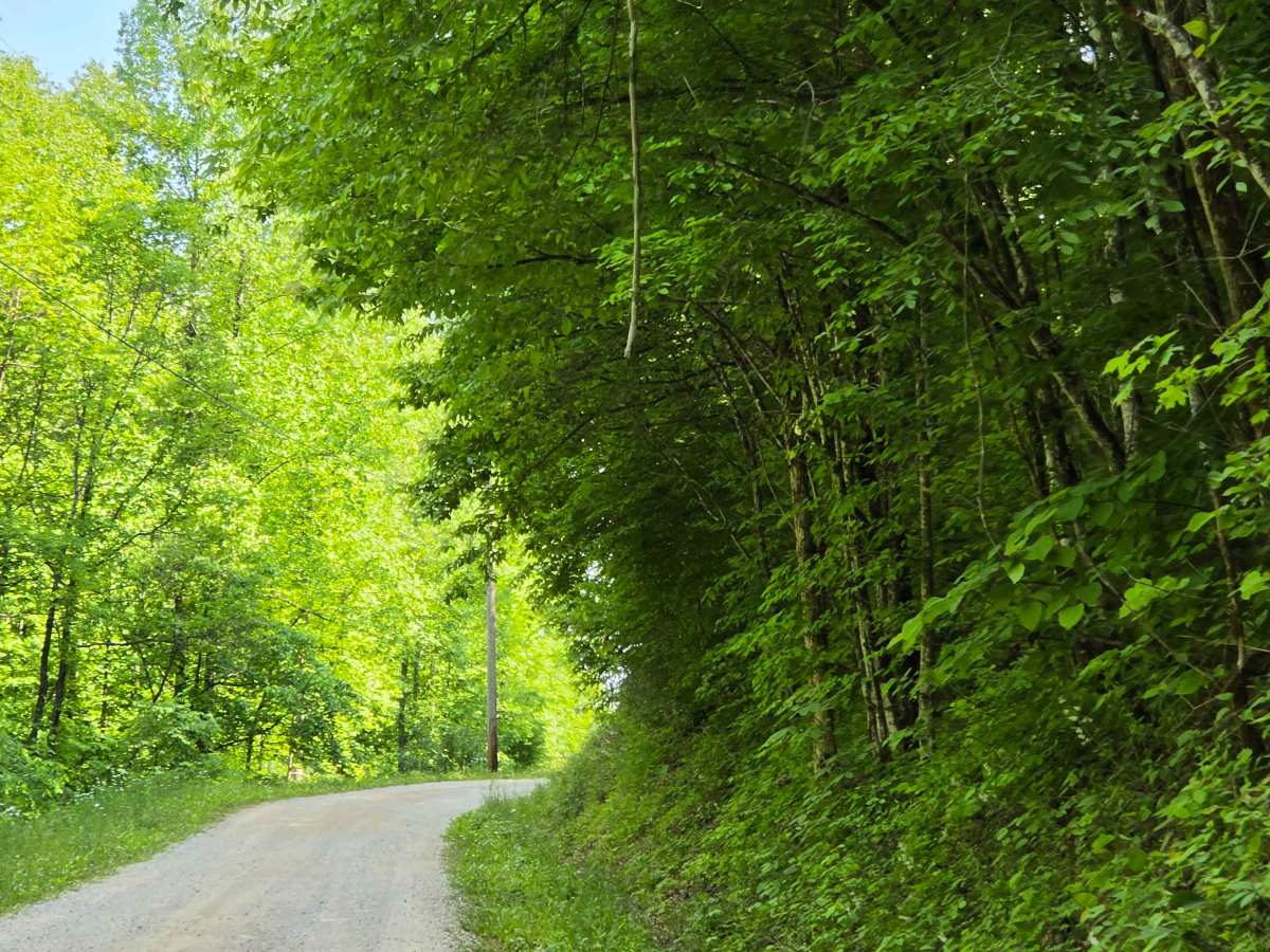 Stone Gap Road | Off-Road Trail Maps, Difficulty, Trail Status | onX ...