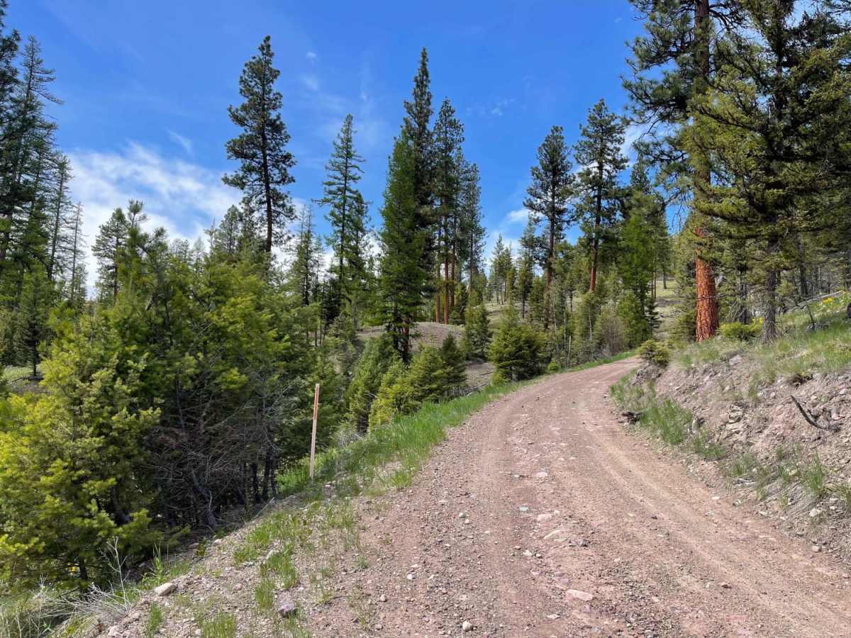 Double Arrow Lookout Tower | Off-Road Trail Maps, Difficulty, Trail ...