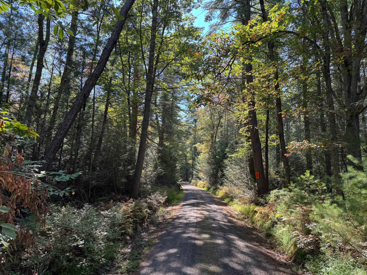 Lebanon Road | Off-Road Trail Maps, Difficulty, Trail Status | onX Offroad