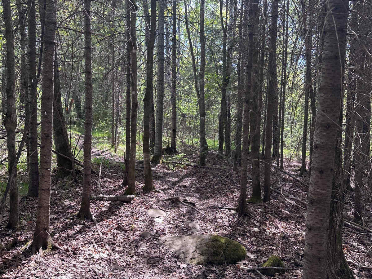 Moose Knuckle Ridge (M25 Section 3) | Off-Road Trail Maps, Difficulty ...