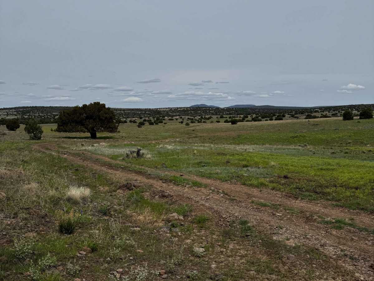 Ranch House Bypass | Off-Road Trail Maps, Difficulty, Trail Status ...