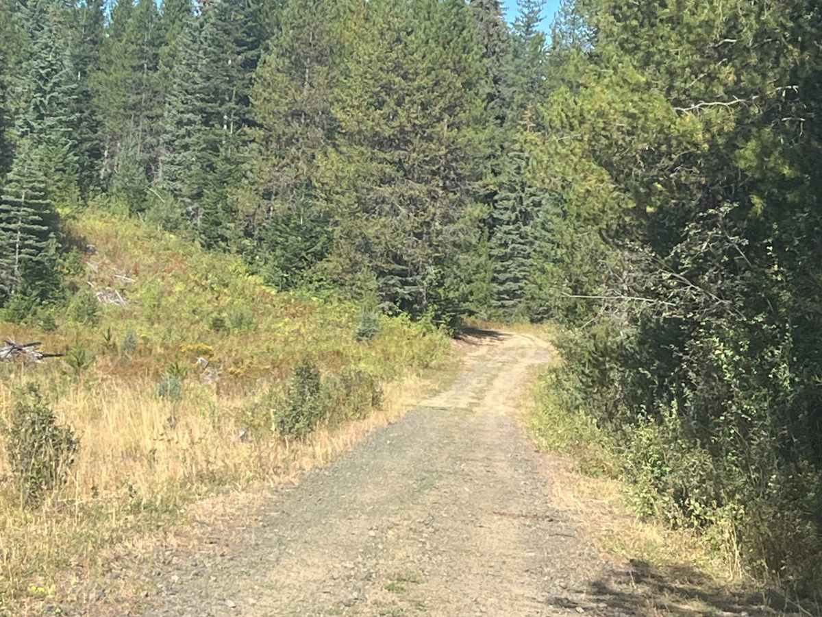 Moose Creek Upper Road Track | Off-Road Trail Maps, Difficulty, Trail ...