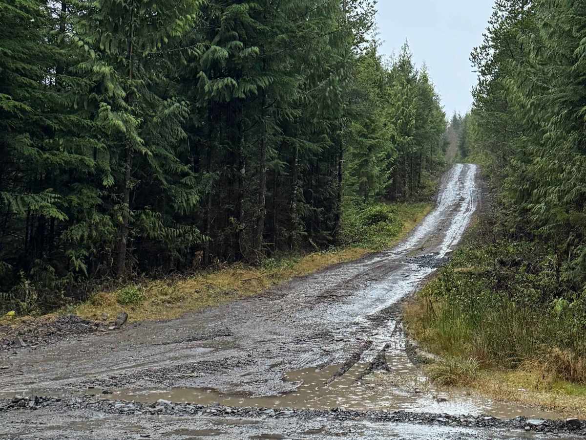 Ferguson Forest Service Road | Off-Road Trail Maps, Difficulty, Trail ...