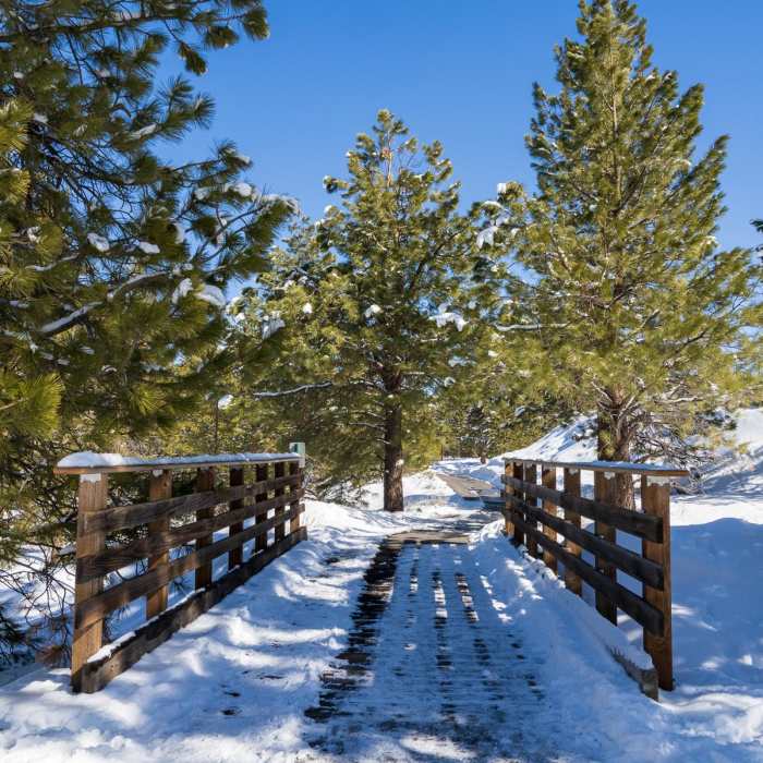 Truckee River Legacy Trail Hiking Trail | Map, Difficulty, Trail Status ...