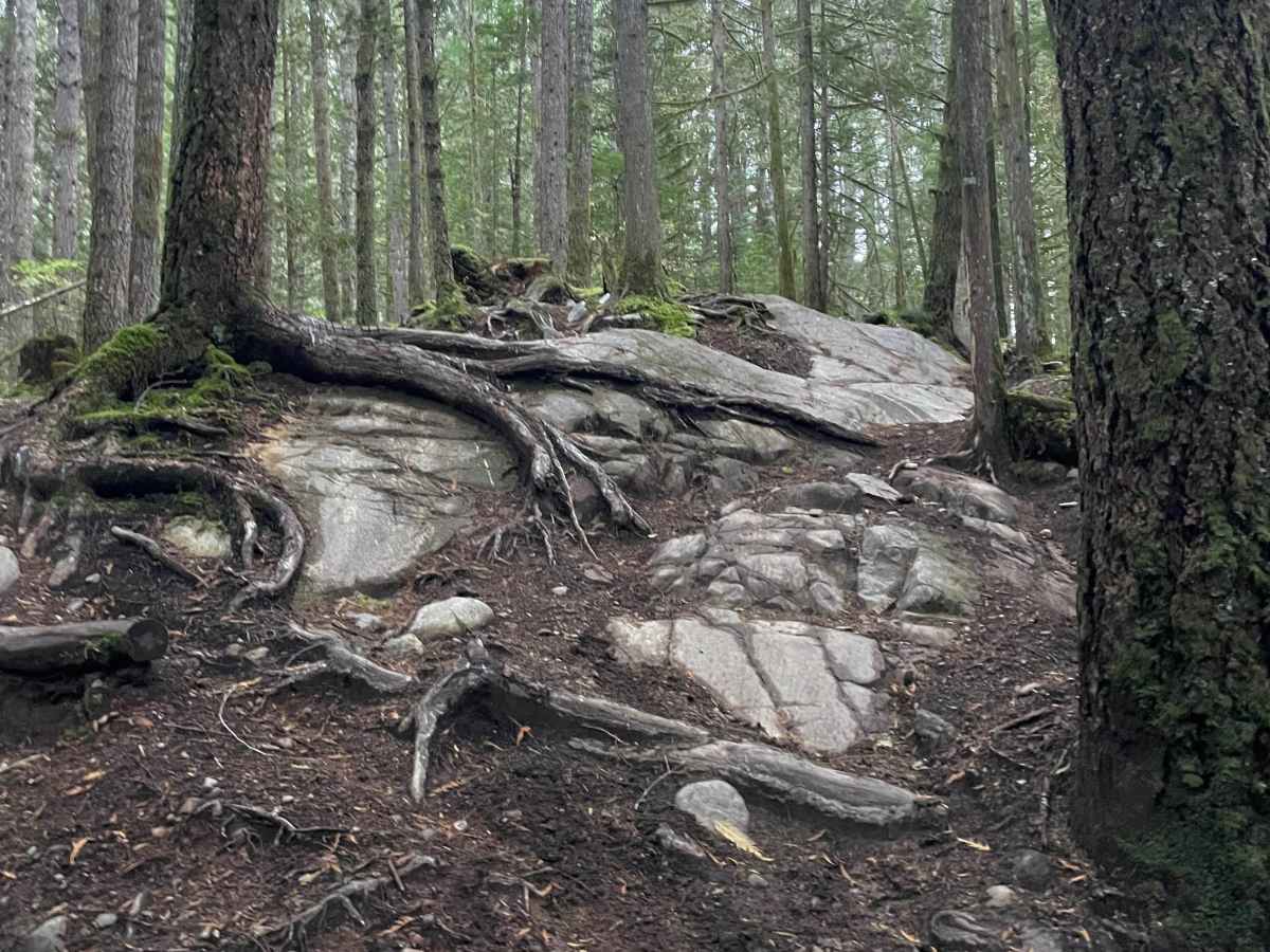 Run Eddy Run Hard Line | Off-Road Trail Maps, Difficulty, Trail Status ...