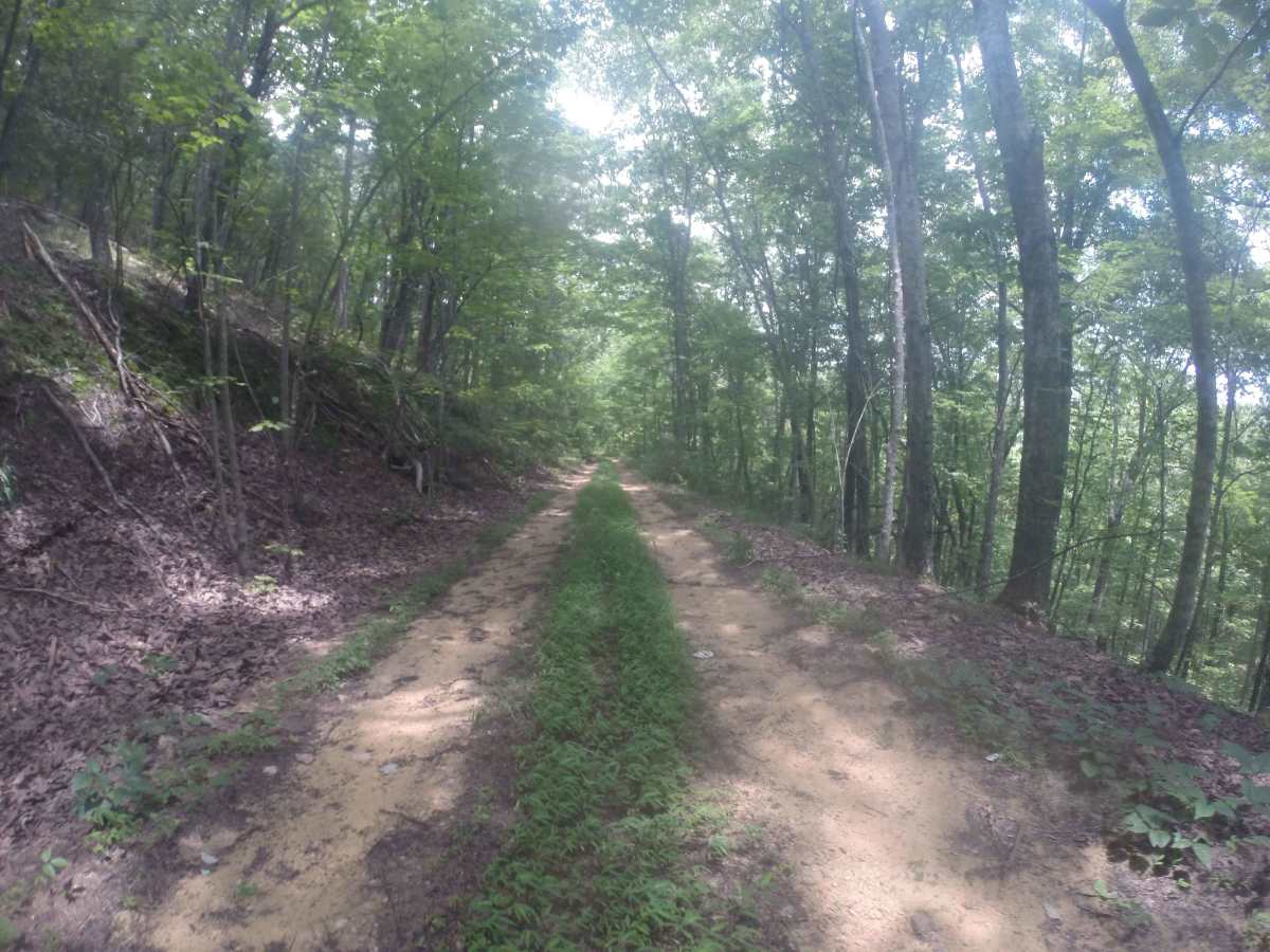 Chestnut Mountain Spur - FS 212C | Off-Road Trail Maps, Difficulty ...