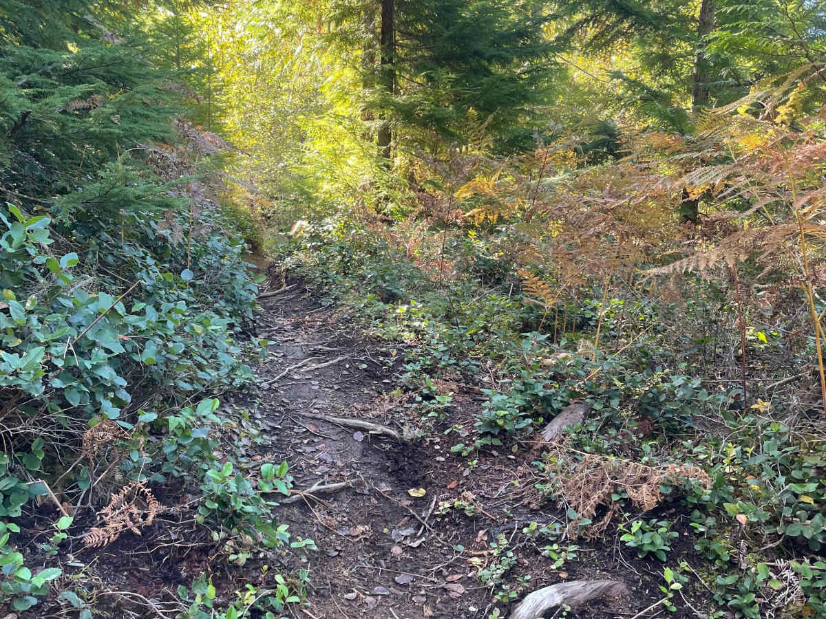 Don't Miss the Fun in the Sun Hard Line | Off-Road Trail Maps ...