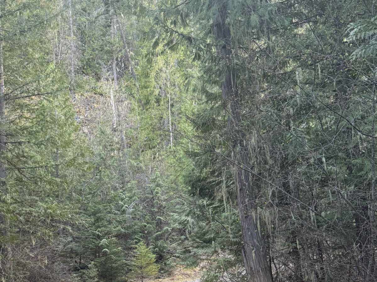 McKinley Mountain - FS 1500-045 | Off-Road Trail Maps, Difficulty ...